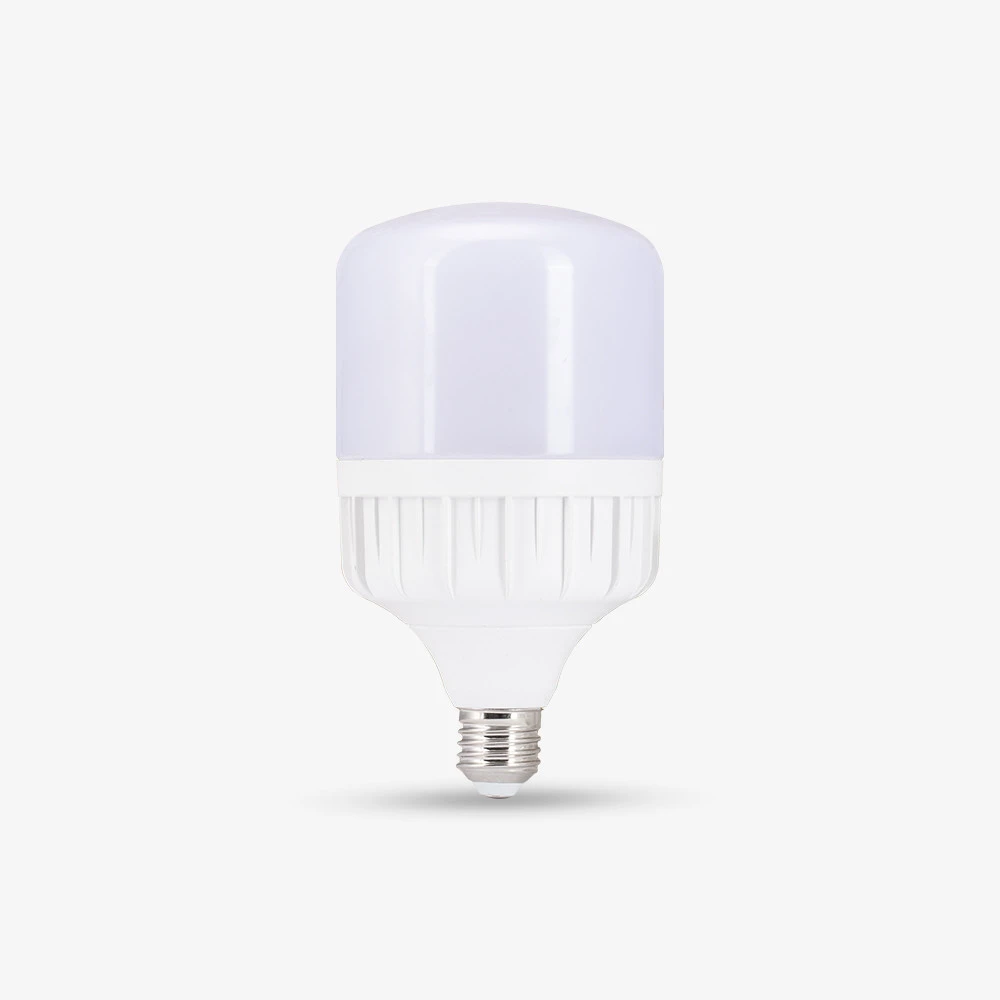 Bóng Led Bulb Tr100n1/30w.dc 6500k (12-24vdc E27)