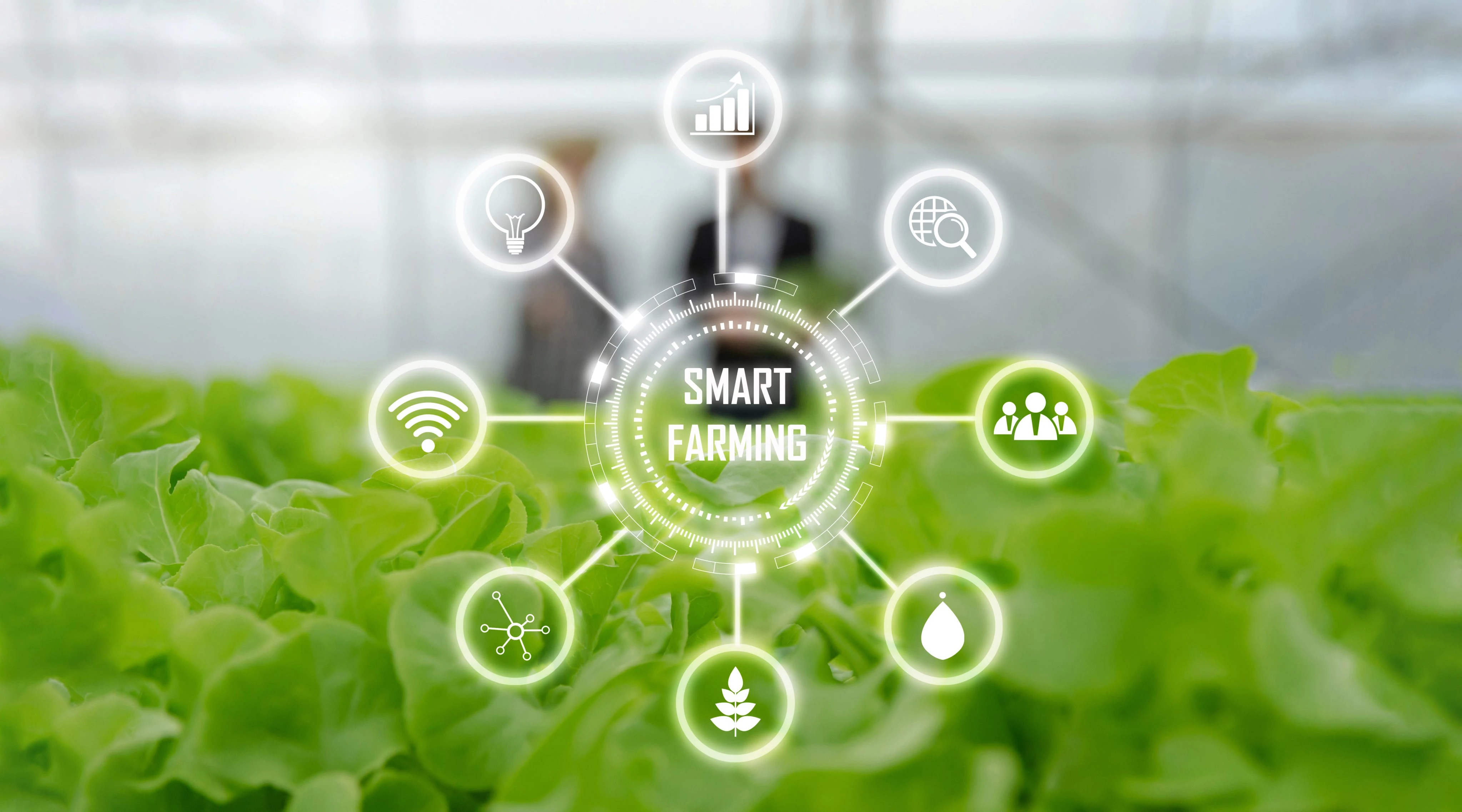 Smart Farming - Giải Pháp Nâng Cao Hiệu Quả Sản Xuất Nông Nghiệp